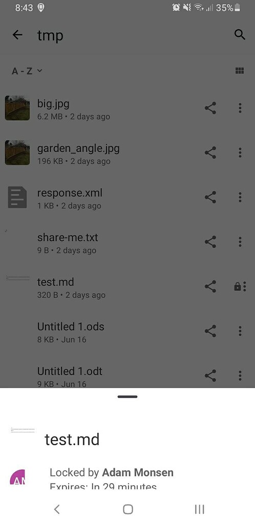 Can't Open With or Unlock a locked file with the android app - 📱 Desktop & mobile clients ...