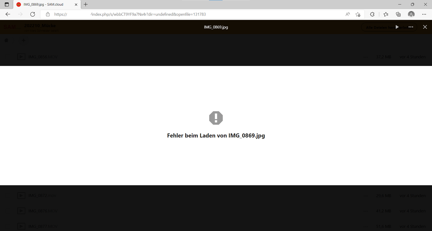 Error loading image / Fehler beim Laden von Bildern - ℹ️ Support - Nextcloud community