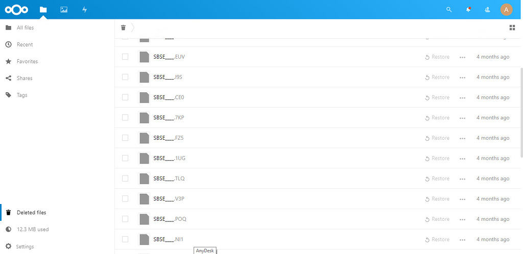 What is SBSE___.files - 📦 Appliances (Docker, Snappy, VM, NCP, AIO) - Nextcloud community